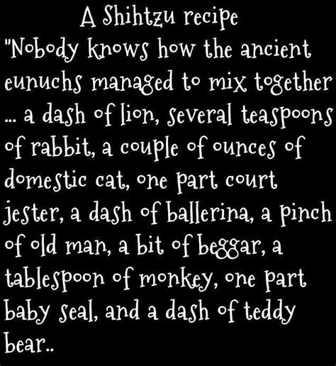 Shih Tzu Discover 110 Shih Tzu Haircuts Ideas Shih Tzu Haircuts