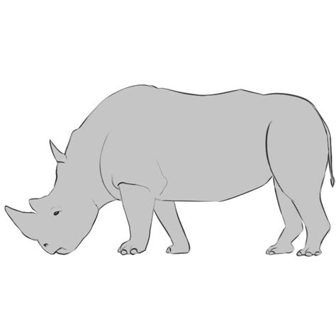 How To Draw A Rhinoceros Easy Drawing Art