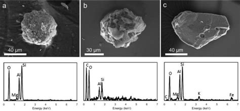 3 Sem Images Upper And Eds Spectra Lower From The Whole Particle