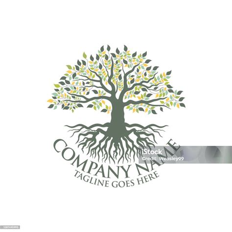 나무 오브 라이프 오크 반얀 로고 디자인 탐플레이트 스톡 일러스트 인도네시아 나무 오브 라이프 벡터 추상 반얀 나무 나무에 대한 스톡 벡터 아트 및 기타 이미지 Istock