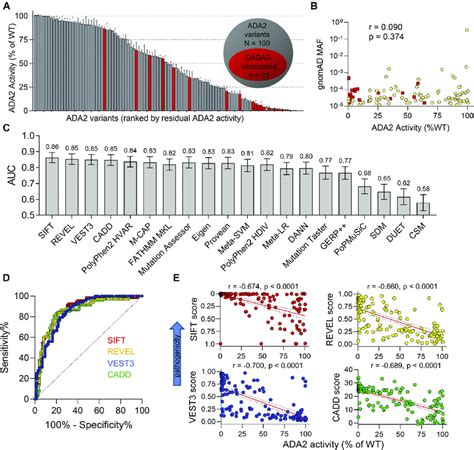 Functional And In Silico Analysis Of Missense Ada2 Variants In Gnomad