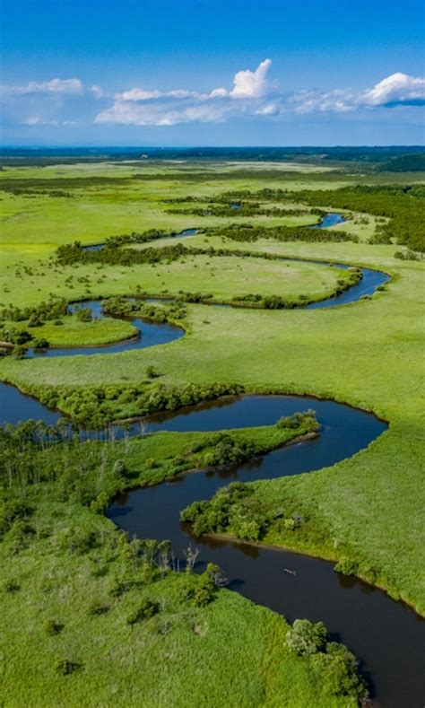 Kushiro Marshland Trip To Japan