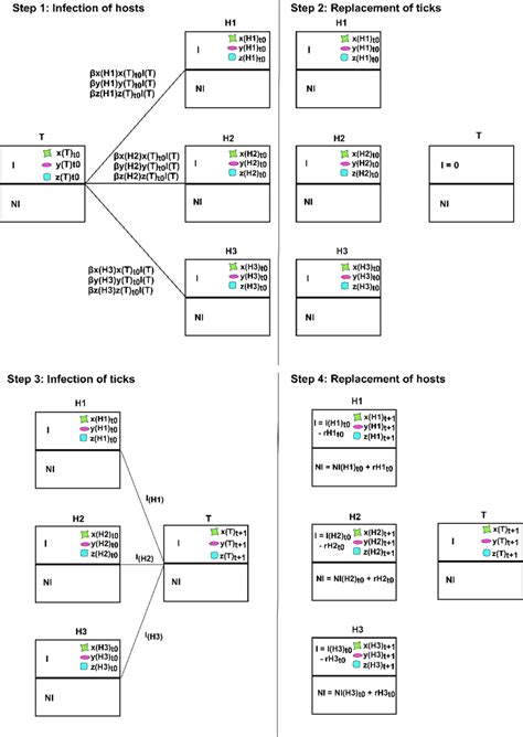 Diagram Of A Phylodynamic Model That Takes Into Account The Adaptive