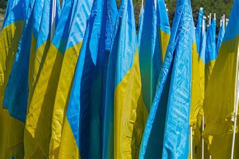 노란 별이 있는 푸른 깃발 그룹으로 흐릿한 잔디 배경을 배경으로 행사나 행사에 표시됩니다 개념에 대한 스톡 사진 및 기타 이미지 Istock