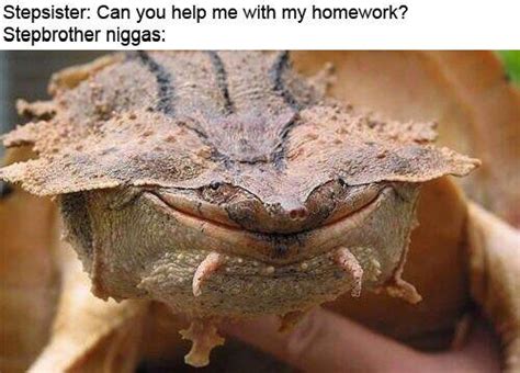 Youre The Best Step Bro I Could Ever Ask For Rdankmemes
