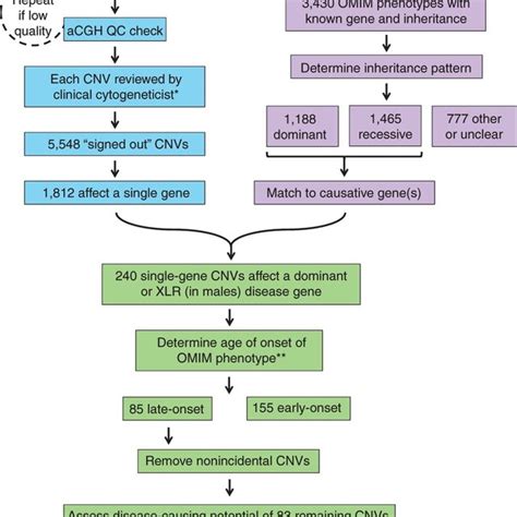 Strategy For Identifying Single Gene Copy Number Variants Cnvs