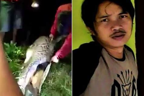 Giant Python Eats Human