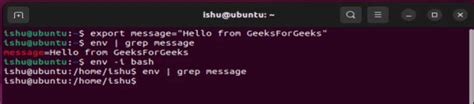 How To Delete An Exported Environment Variable In Shell In Linux