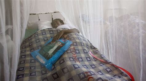 Por Qué La Malaria Se Está Expandiendo En Venezuela Infobae