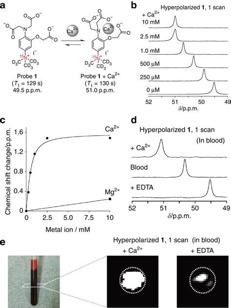 Hyperpolarized Mr Probe Targeting Calcium Ions A Ca2 Sensing By Mr Download Scientific