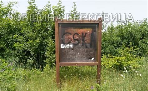 Продължават вандалските прояви в Берковица