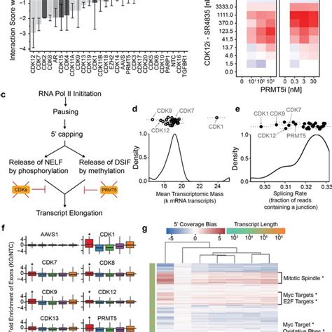 Systematic Mapping Of Cdk Gene Function In Triple Negative Breast