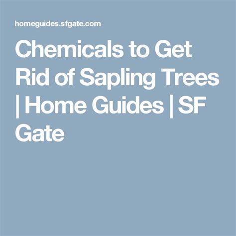 Chemicals To Get Rid Of Sapling Trees Succulents Saplings Flapjack