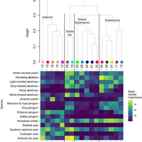 relationship among clusters and species composition heatmap showing
