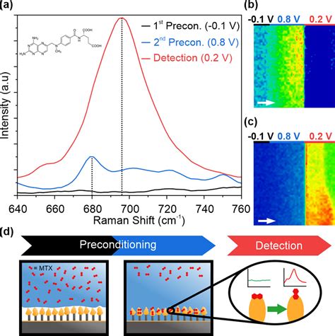 Methotrexate Detection In Serum At Clinically Relevant Levels With Electrochemically Assisted