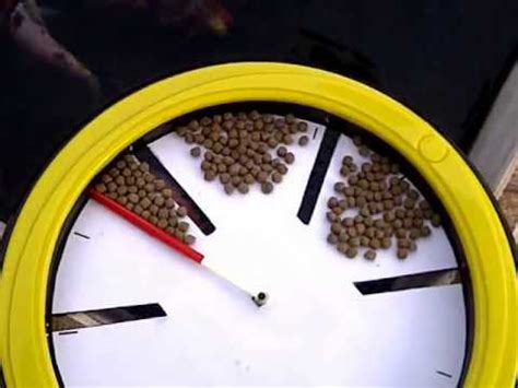 DIY Automatic Fish Feeder YouTube