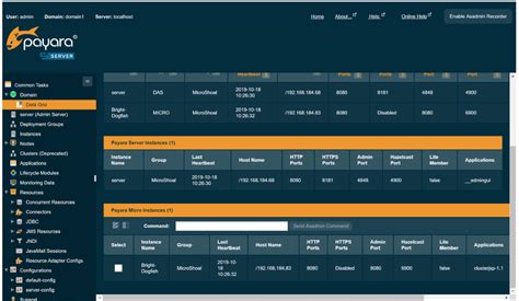 How To Join Payara Micro Instances To The Data Grid In The Admin