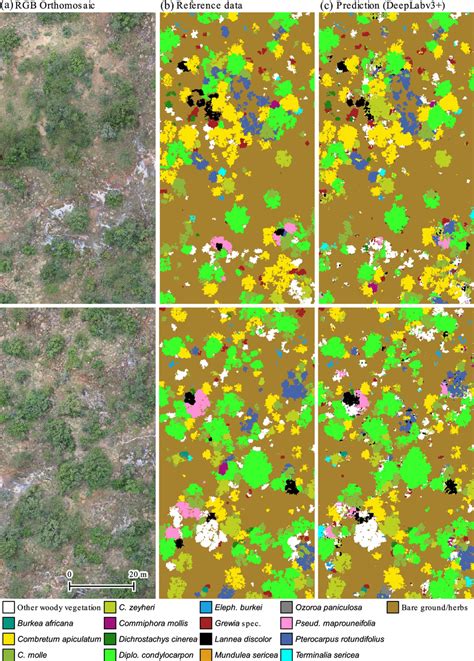 Example Prediction Of Deeplabv3 For A Ca 1 Ha Test Plot Split In Two Download Scientific