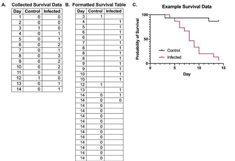 Example Formatting And Graphing Of Survival Data A Survival Data Of