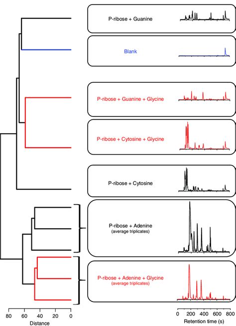 Dendrogram And Base Peak Chromatograms Bpc Cluster Analysis Was Used Download Scientific