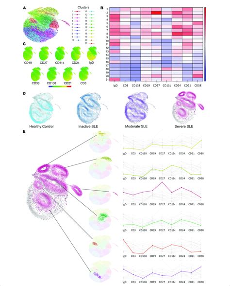 Dimensionality Reduction Analysis To Identify New B Cell Subsets A Download Scientific