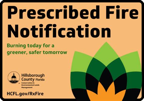 Prescribed Burn September 3 2025 Hillsborough County Fl