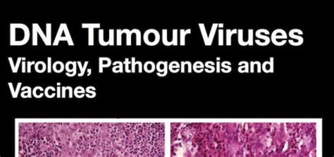 Oncogenic Dna Viruses