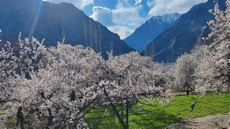 Sarchu Travel Guide Best Time Attractions And How To Reach