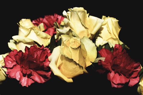 장미 정향 꽃 다발 Pixabay의 무료 사진 Pixabay