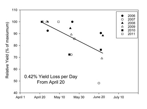Grain Crops Update Soybean Yield Expectations When Planting In July And Possibly August In