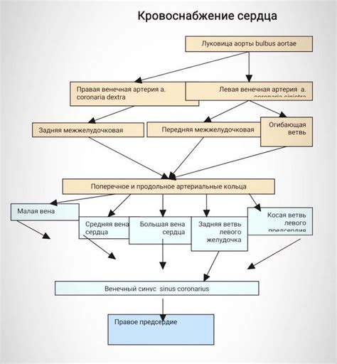 Application Flow Diagram