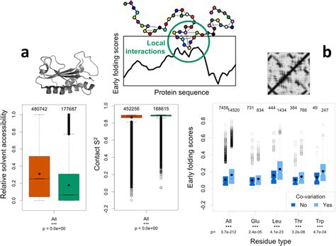 Comparison Of Early Folding Scores To Structure Related Data The Early Download Scientific