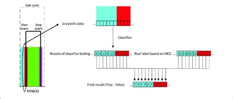Scheme Of Evaluation Of Data Epochs Tested On The Classifier Download Scientific Diagram