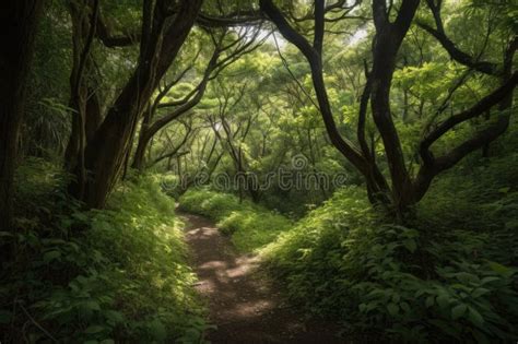 Overhead Canopy Stock Illustrations 98 Overhead Canopy Stock Illustrations Vectors And Clipart