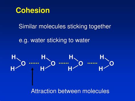 Cohesion Tension Model Of Xylem Transport Ppt Download