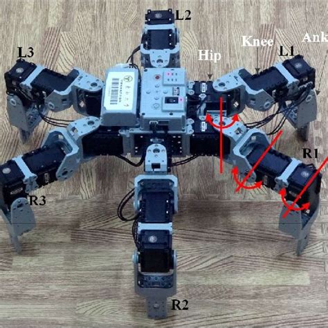 The Hexapod Robot Platform Download Scientific Diagram