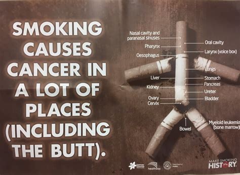 Anti Smoking Ads Lungs Did You Know Vaping And E Cigarettes Can Lead