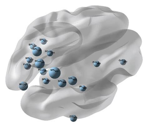 The Binary Brain Network Model Obtained By Using Gca The Regions Where
