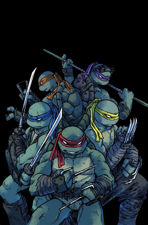 Since Its Release What Are Your Overall Thoughts On The Tmnt Idw Comic