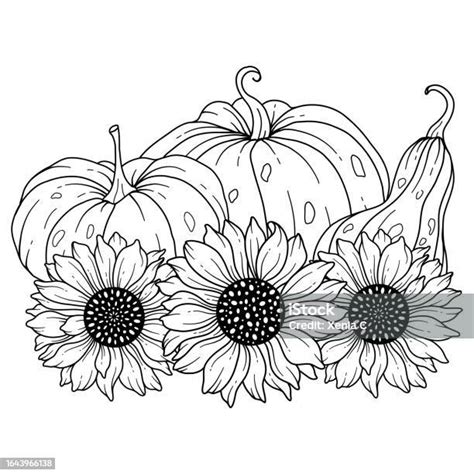 해바라기 라인 아트 일러스트레이션이 있는 호박 호박 배열 윤곽선 손으로 그린 그림 호박과 색칠 공부 페이지입니다 컬러링 북 페이지 일러스트레이션 기법에 대한 스톡 벡터 아트