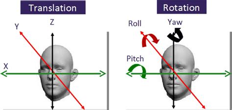 Head Motion Parameters Measured From Functional Images Download
