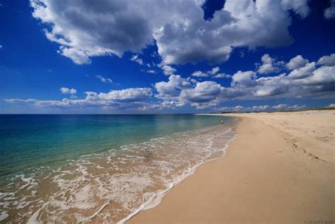 Beaches You Should Visit