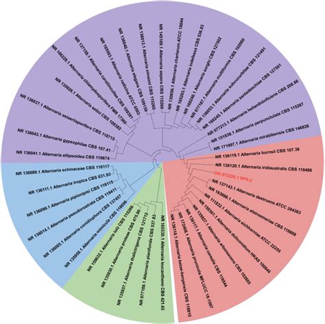 [pdf] Whole Genome Sequence Analysis Of An Endophytic Fungus Alternaria Sp Sps 2 And Its