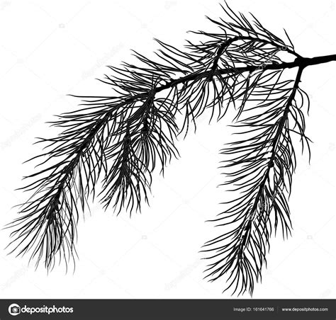 Black Pine Tree Branch Isolated Illustration Stock Vector Dr PAS