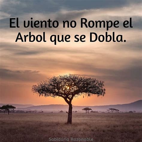El Viento No Se Rompe Am Arbol Que Se Dobla😌 📳tag Una Persona Que