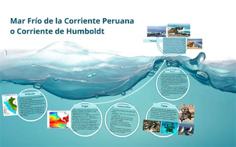 Mar Frío De La Corriente Peruana By Mariana Matellini On Prezi