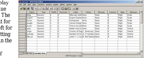 Figure 4 Using Spss For Data Analysis