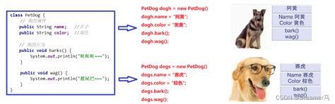 类和对象的认识 Csdn博客