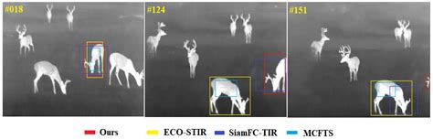 Thermal Infrared Tracking Method Based On Efficient Global Information Perception