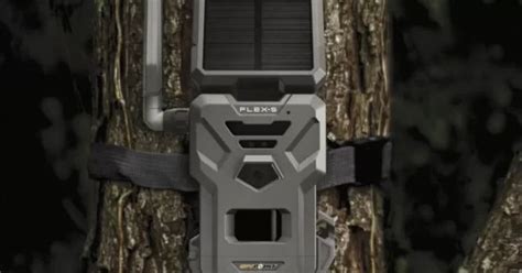 Spypoint Flex S Camera Is The Best